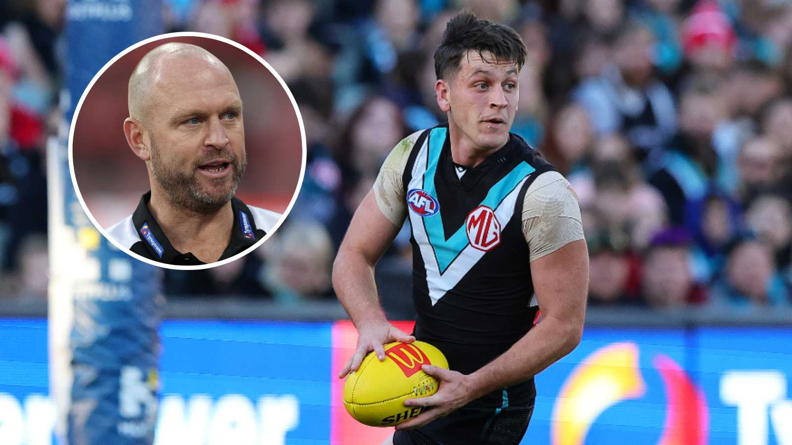 Media backgrounding?: Watson's deep dive into Dons drama — SEN