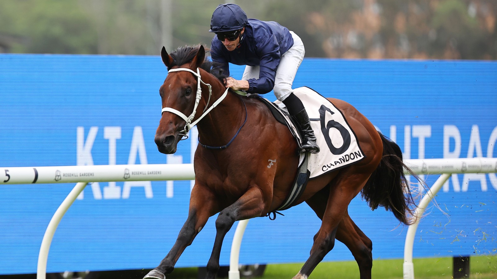 J-Mac: Don’t “bet against” Chris Waller in Caulfield Guineas — SEN