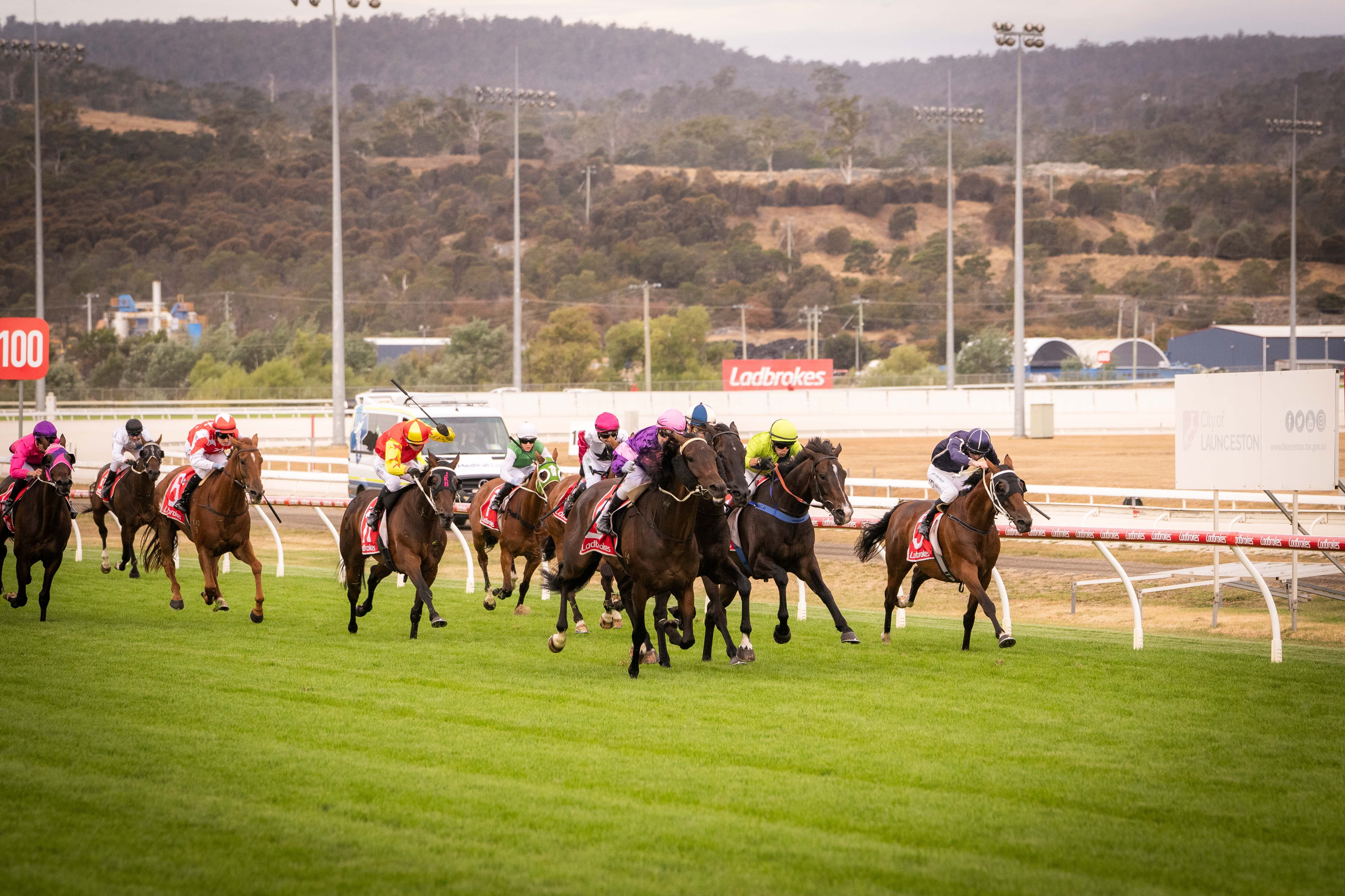 Tasracing's Wednesday best bets at Launceston (26/11) — SEN