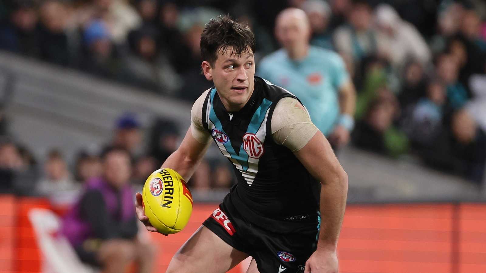 Trade Bell: Could Callum Wilkie land at the Dogs? — SEN