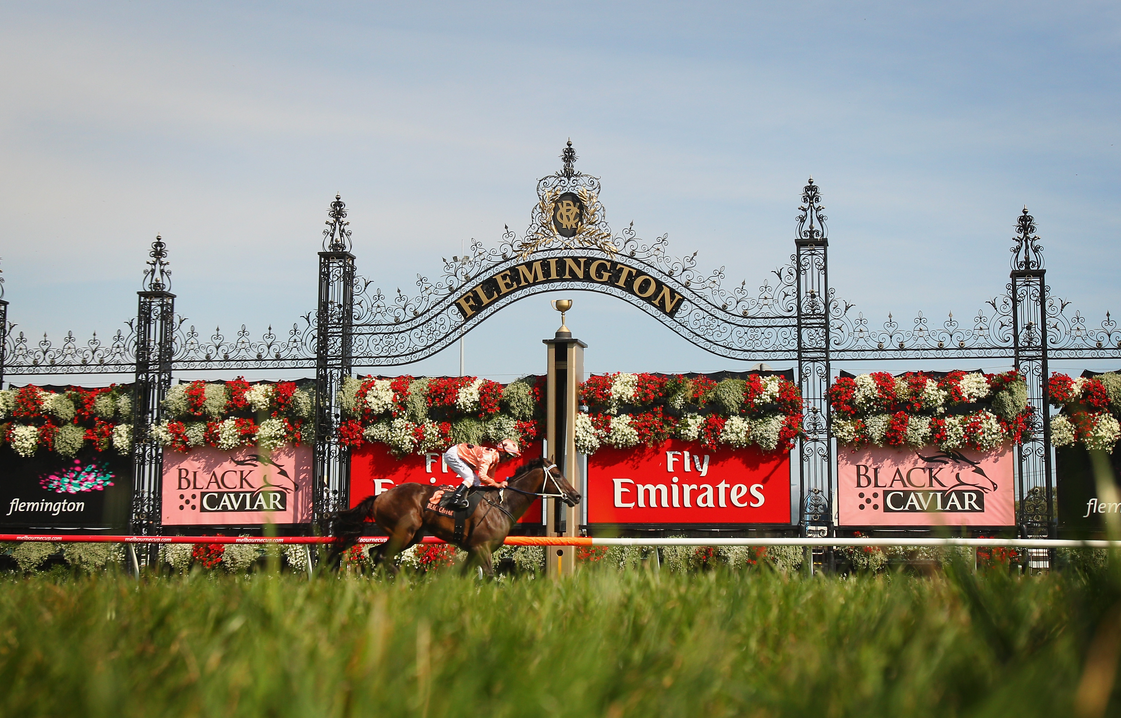 SENTrack: Saturday best bets from Mick Gannon, Mitch Lewis & Dean ...