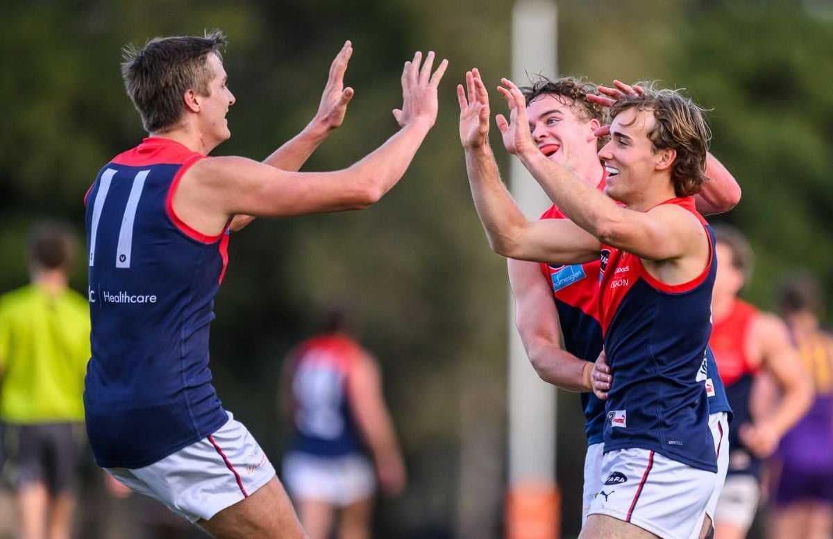 VAFA William Buck Premier Men's Round 15 Review — SEN