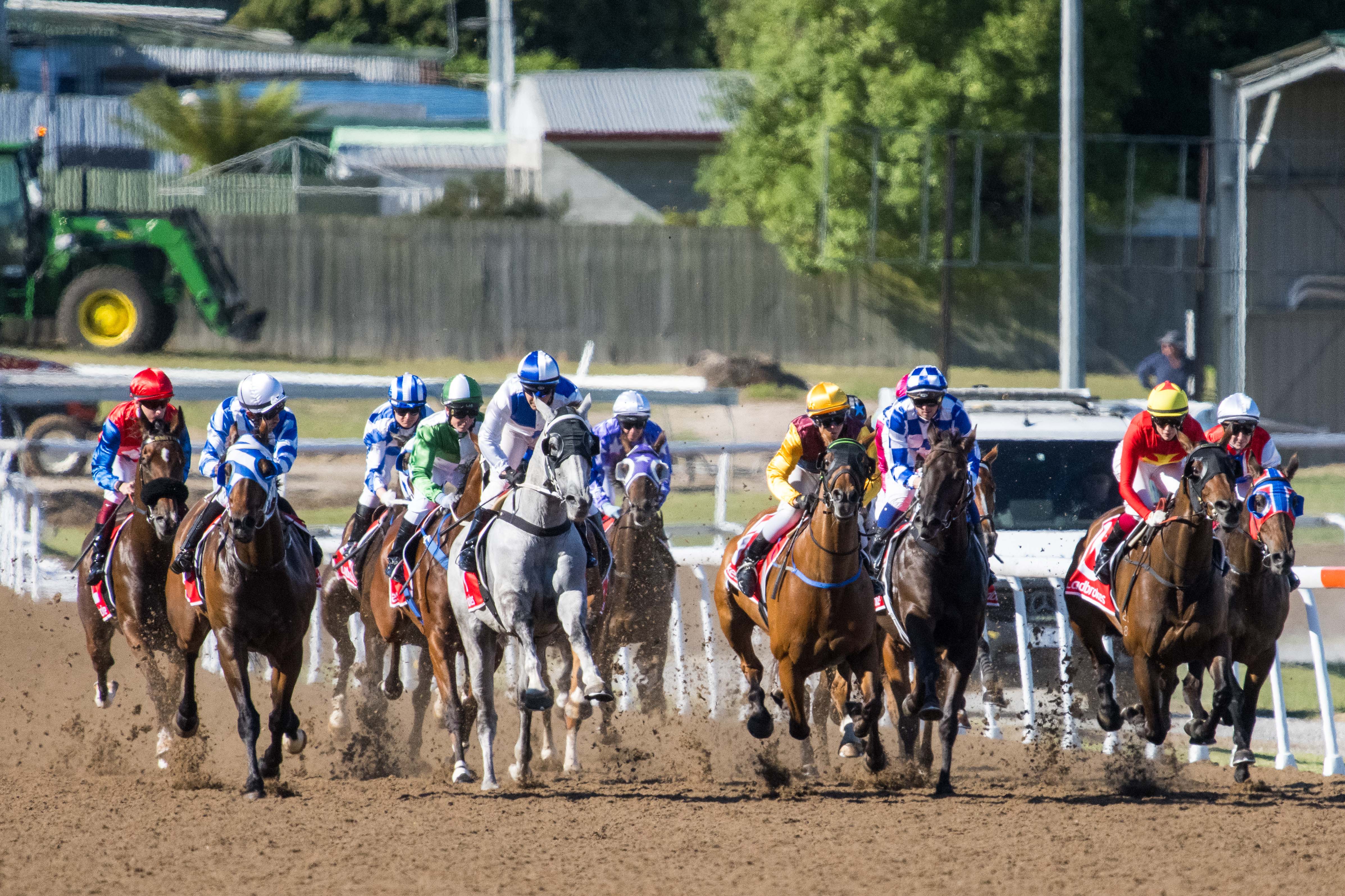 Horse Racing Tips: Tasracing's Sunday Best Bets At Devonport | Rsn ...