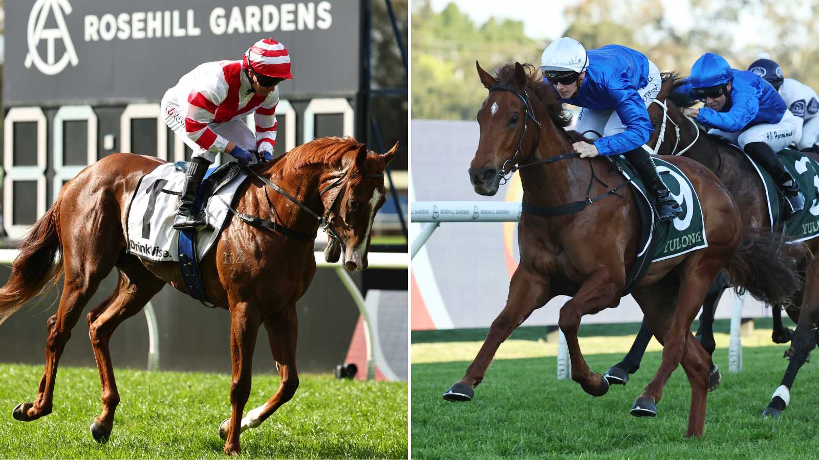 The SENTrack Saturday tip sheet - all the tips at Randwick, Mornington ...