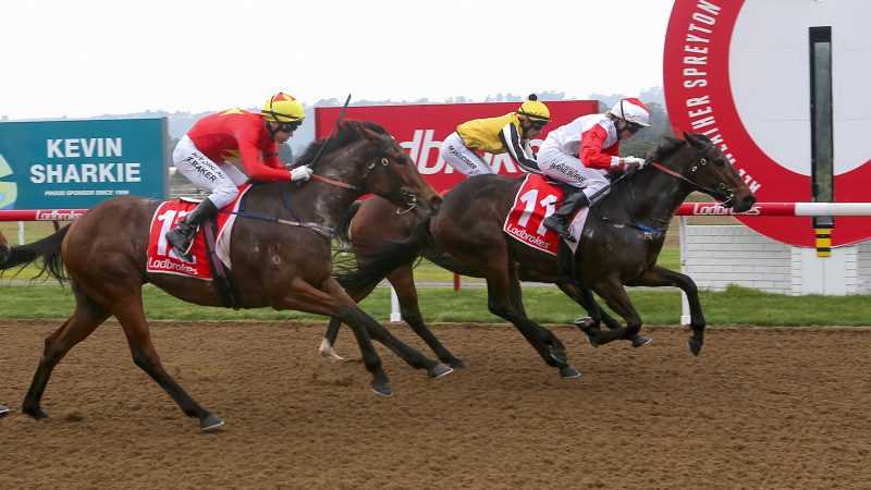 The SENTrack Saturday tip sheet - all the tips at Randwick, Mornington ...