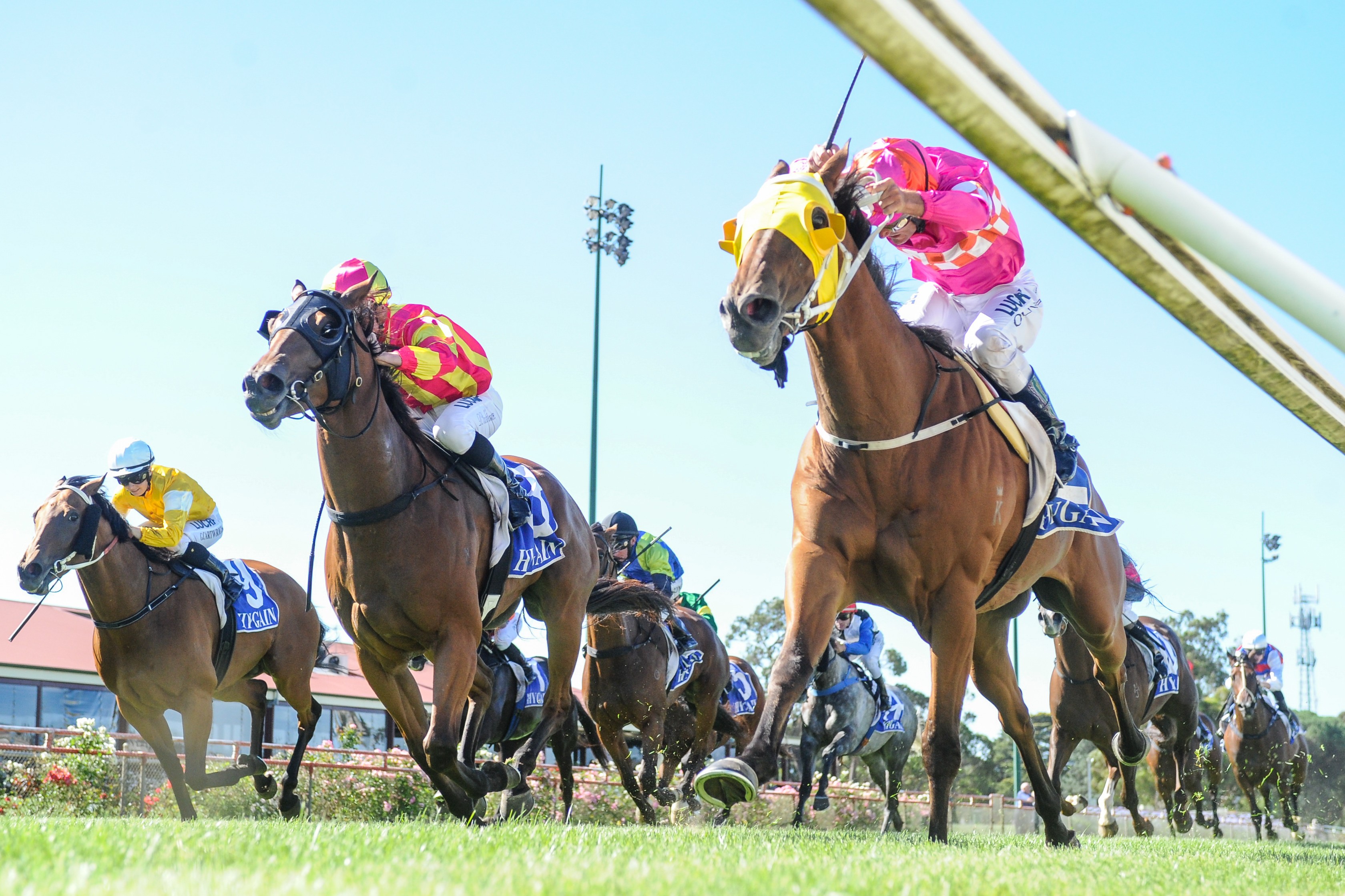 Sunday best bets from Pfitzner & Lewis (14/09) — SEN