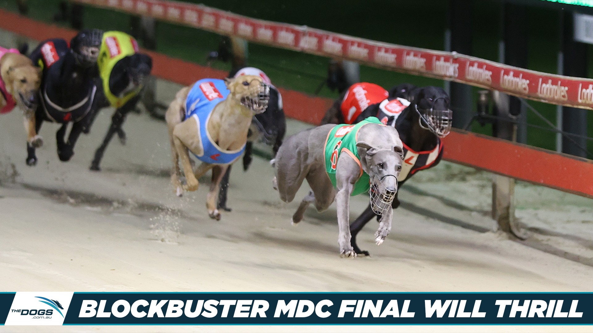 Veteran Faces Rising Star In Million Dollar Chase Showdown — SEN