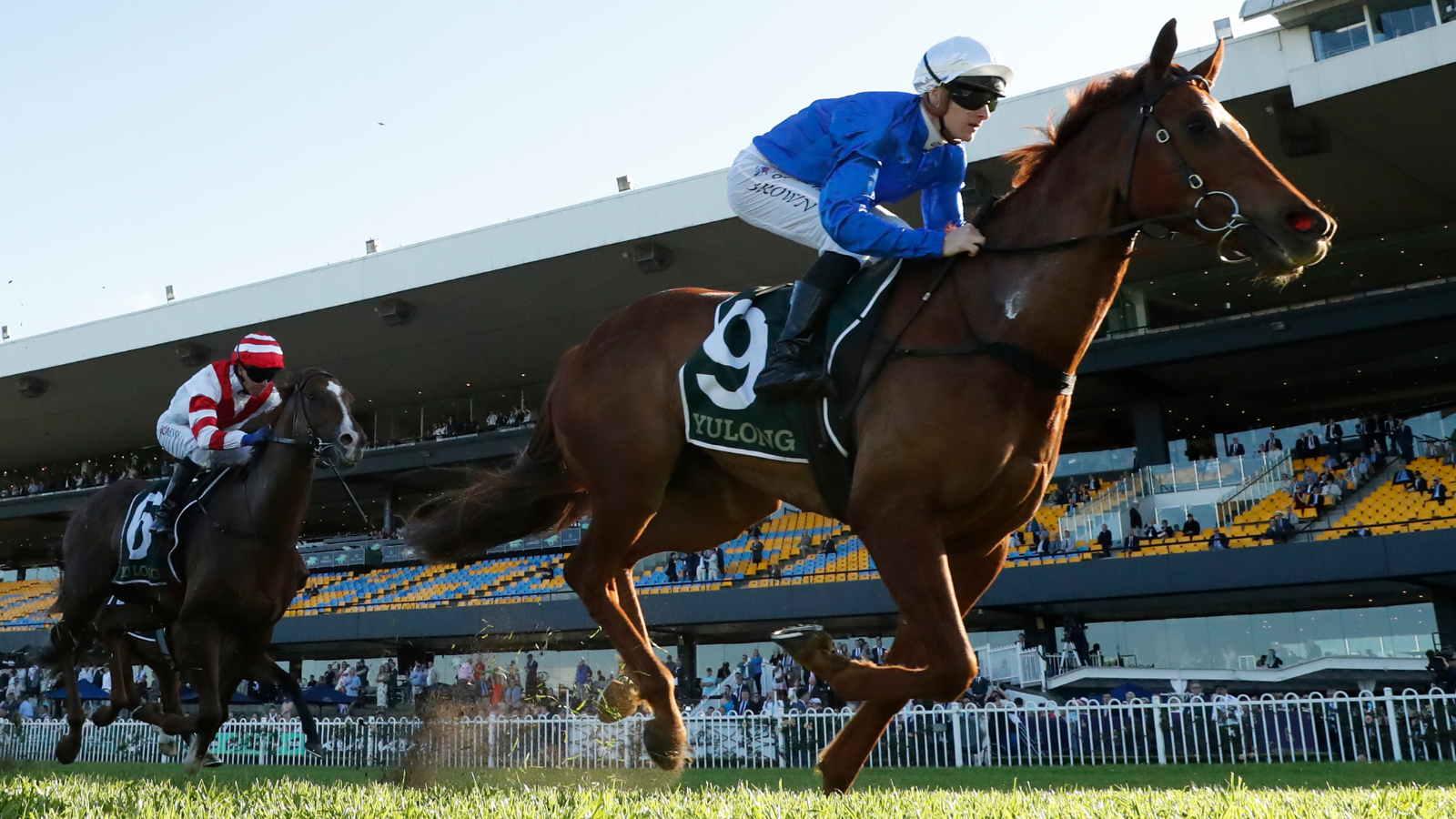 Horse Racing 2025: Tempted Is The "Horse To Beat" | Rsn | Racing and Sports