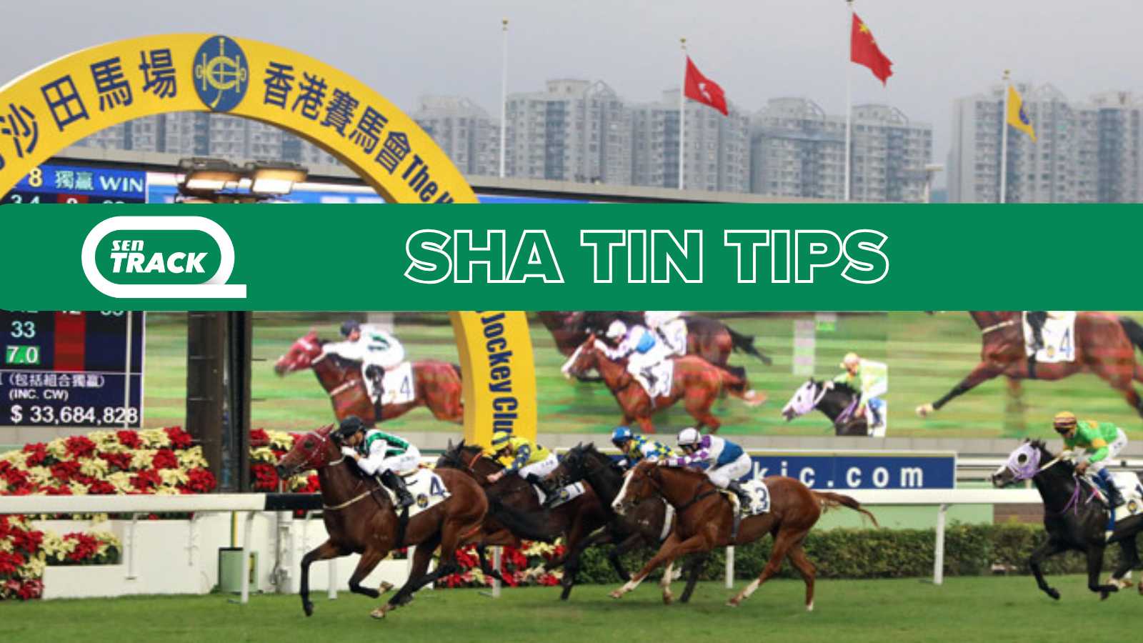 The SENTrack Saturday tip sheet - all the tips at Randwick, Mornington ...