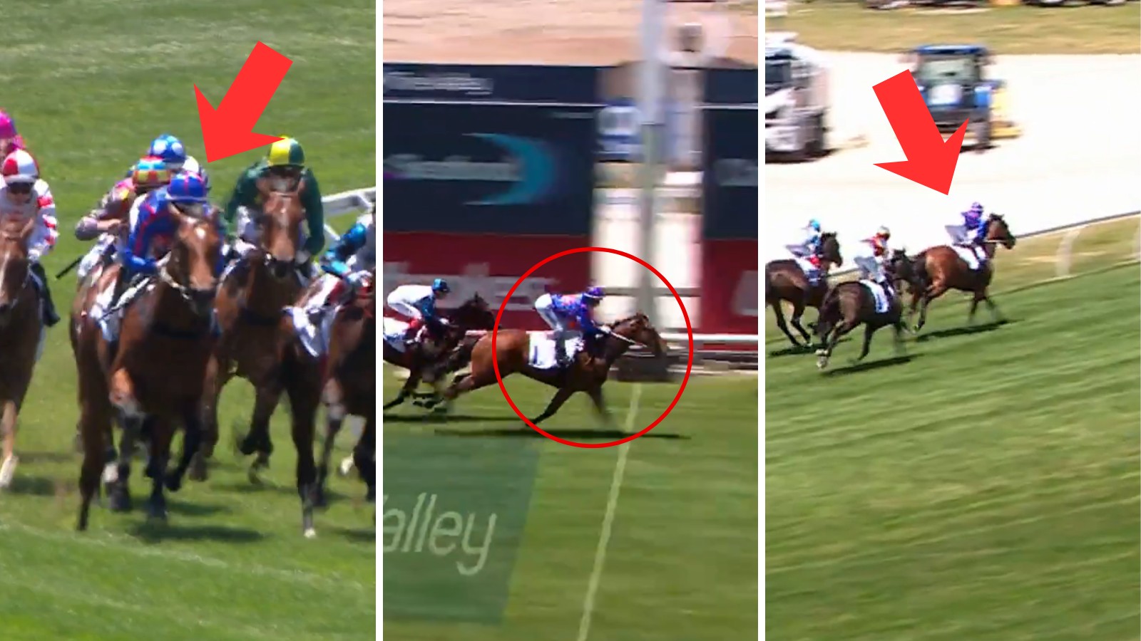 Guest House’s game plan: Prelude into Blue Diamond — SEN